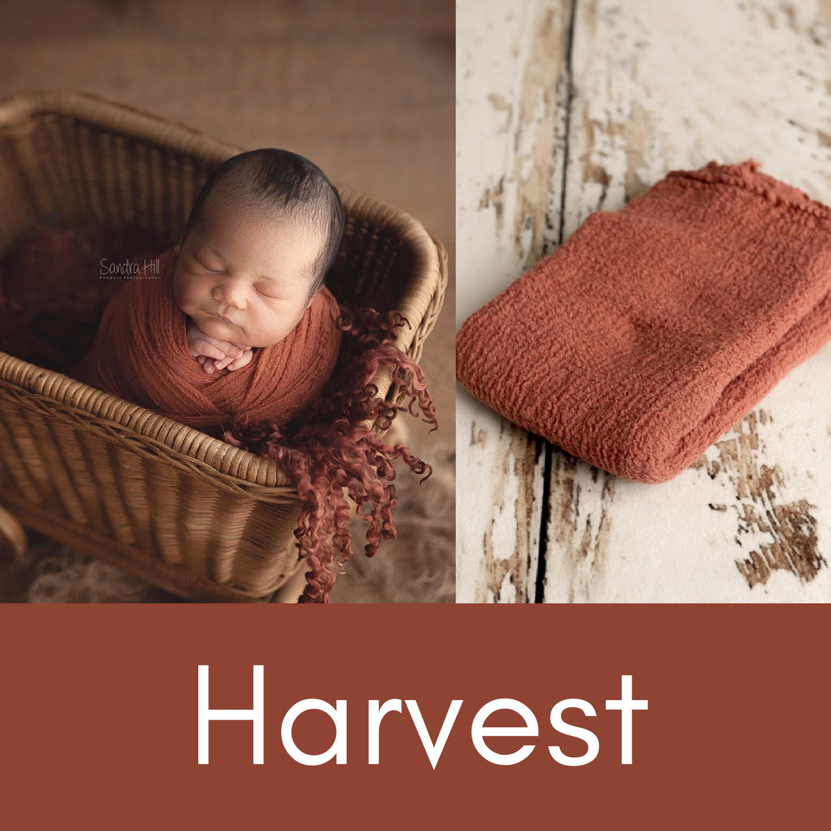 Harvest Double Length Wrap – Red Owl Photo Props